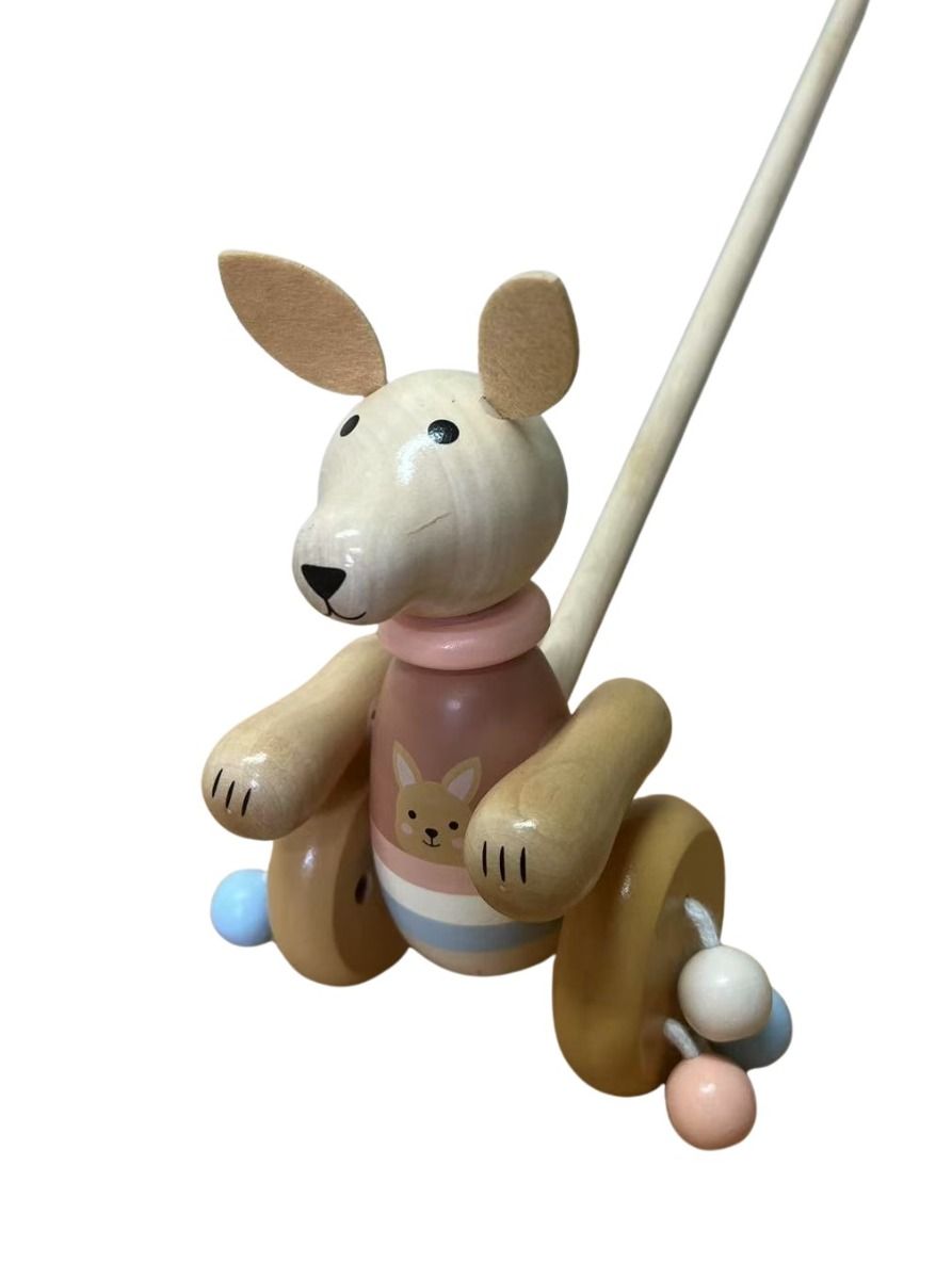 Toyslink - Push Along Wooden Animal – Peekaboo Kidz Clare